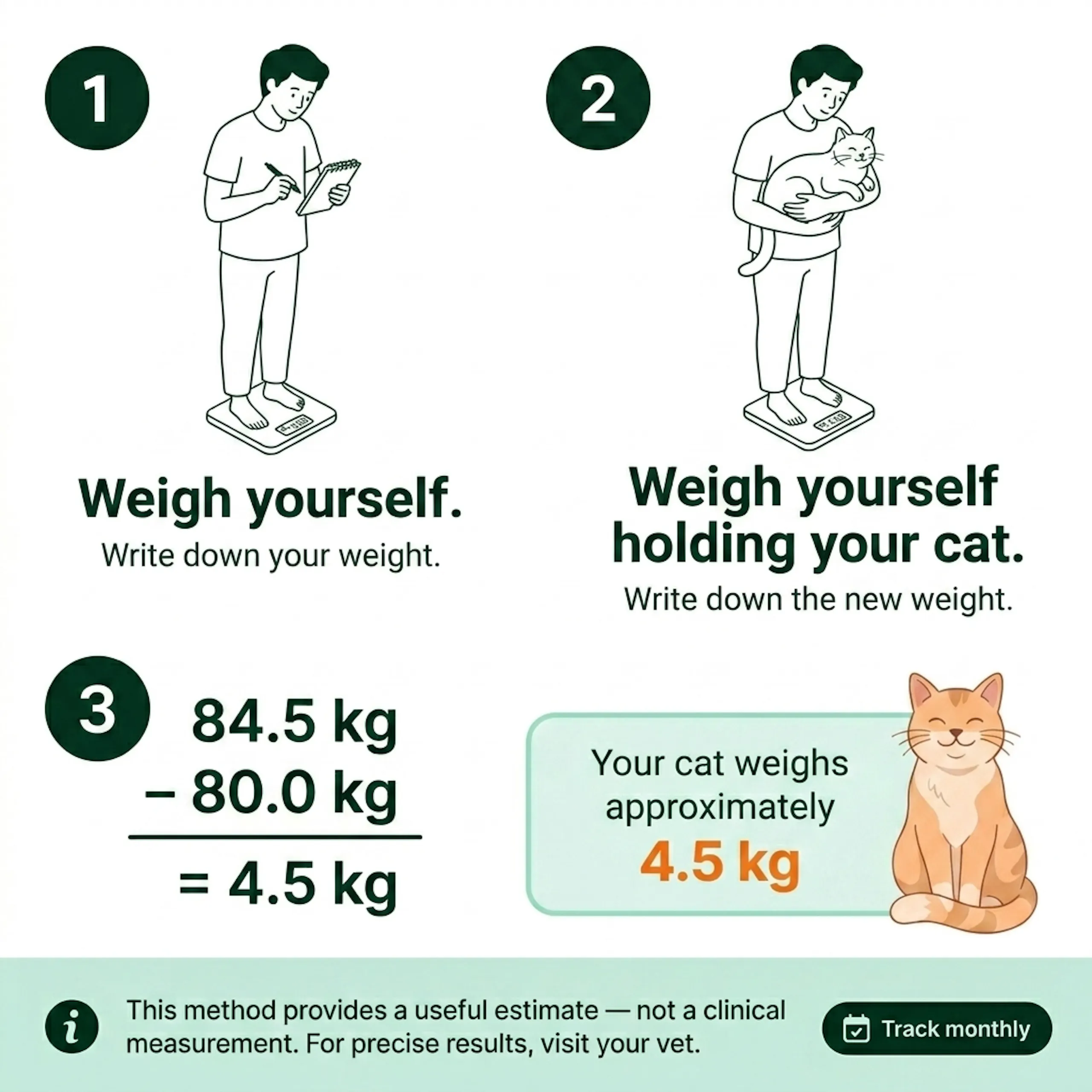 Is My Cat Overweight? A Complete Guide to Healthy Cat Weight - Cat Food ...